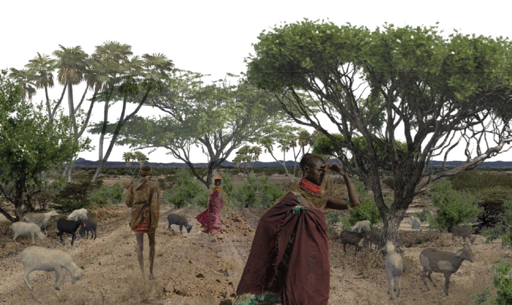 Plant list, Vegetation of Turkana district - landschaftsarchitektur.salon
